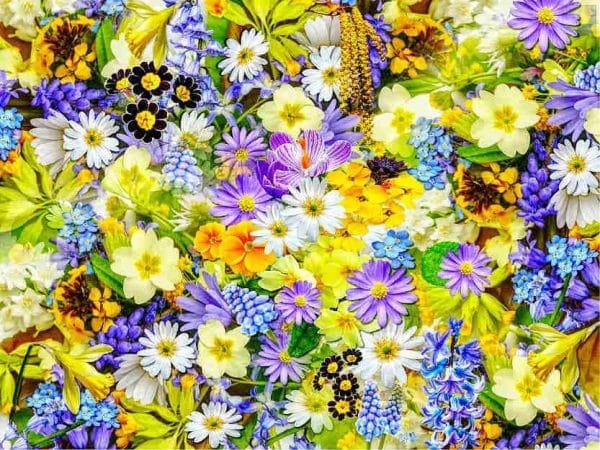 Juni bjuder | Dikt om sommarens första månad – Poeten.se